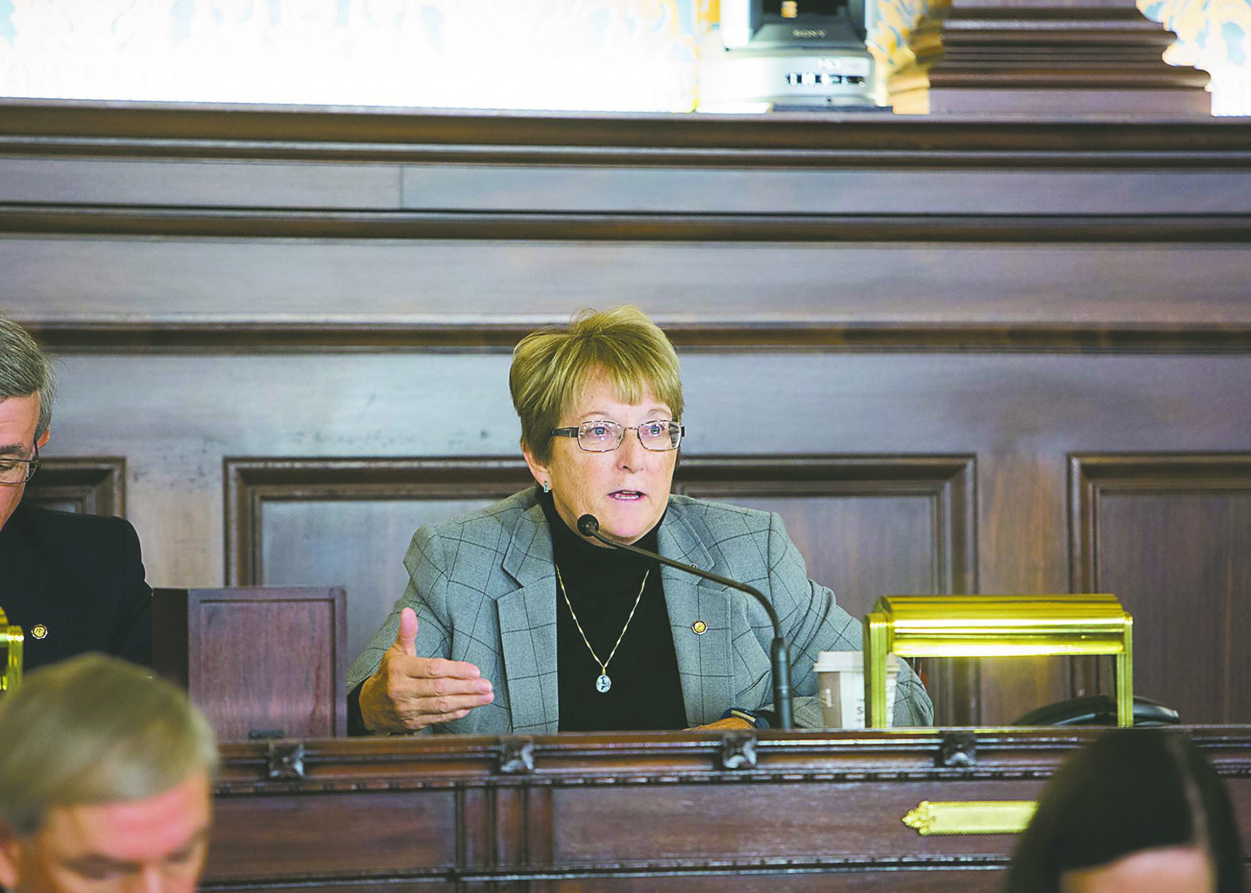 Many proposed, few passed by legislators this term | News, Sports, Jobs ...